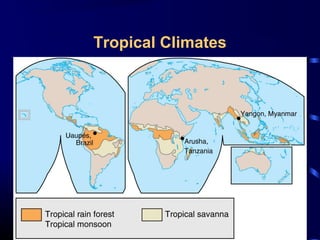 Climate classification | PPT