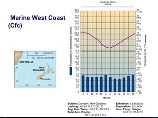 Climate classification | PPT