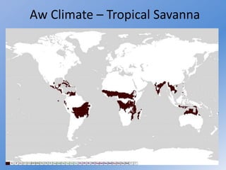 Climate classifications Koppen// koppen climate classification of world ...