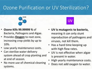 Ozone Water Recycling with Oxygen Benefits for Better Greenhouse Yields ...