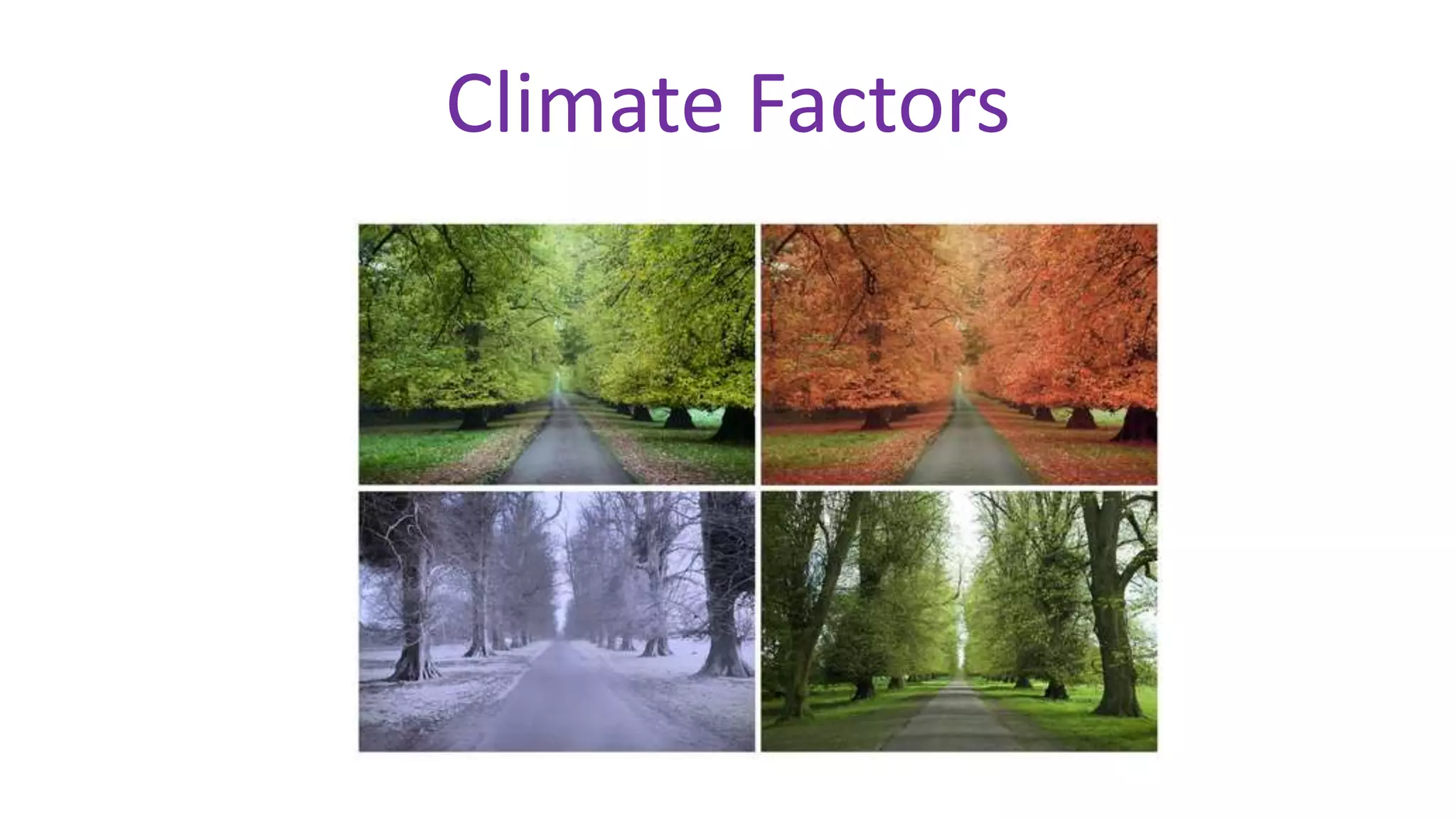 Some Climate Factors | PPTX