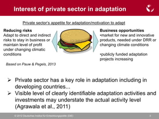 Climate finance pauw (die)private sector adaptation&role ccxg gf ...