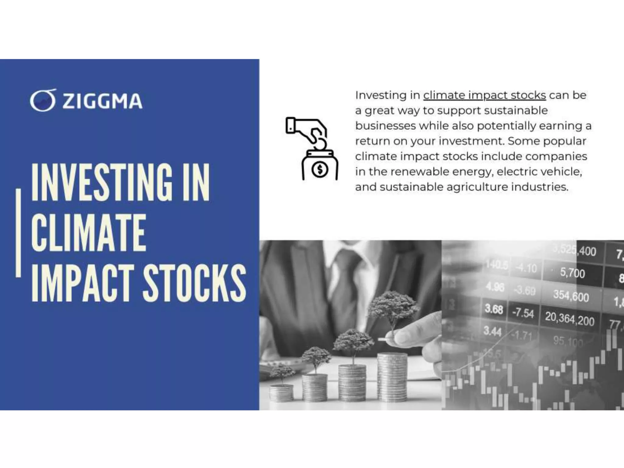 Climate Impact Investing Investing in a Sustainable Future (1).pptx