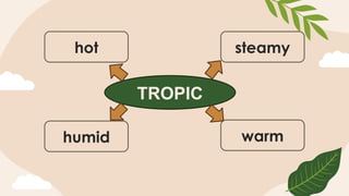 Climate in the Philippines and the temperature | PPTX