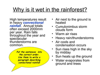 Climate in the rainforest | PPT