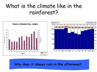 Climate in the rainforest | PPT