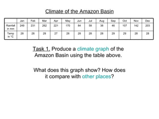 Climate in the rainforest | PPT