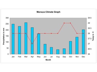 Climate in the rainforest | PPT