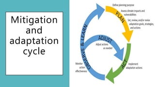 Climate mitigation strategies | PPTX