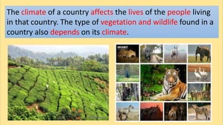 Climate of india | PPTX