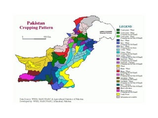Climate of pakistan | PPT