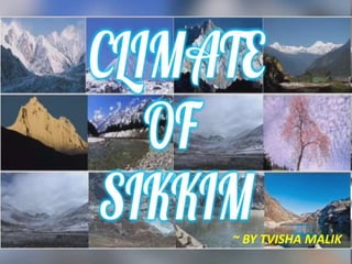 CLIMATE OF SIKKIM CLASS 9 - B TVISHA MALIK.pptx