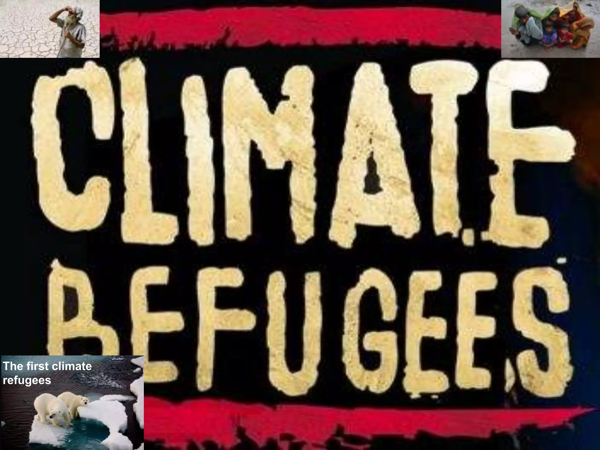 Climate refugee | PPTX