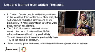 Climate Resilience Community Village Plans - Lessons from Sudan | PPTX
