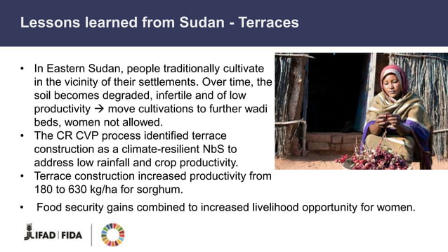 Climate Resilience Community Village Plans - Lessons from Sudan | PPT