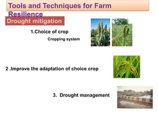 Climate resilient agriculture | PPT