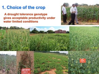 Climate resilient agriculture | PPT