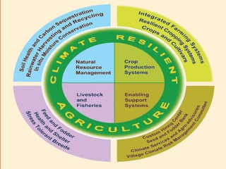 Climate resilient agriculture adaptation and mitigation strategies | PPT