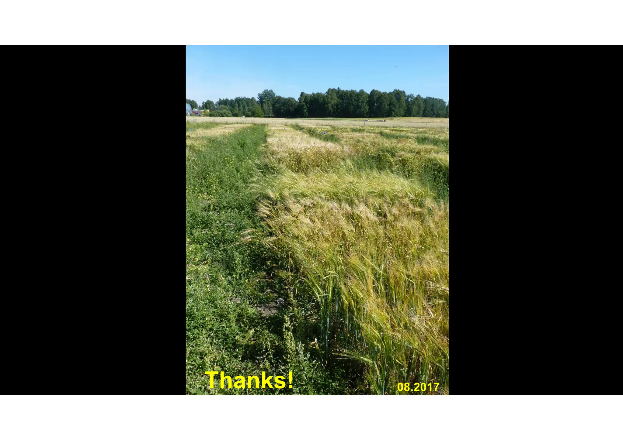 Climate resilient crop cultivars in the view point of physiology and ...