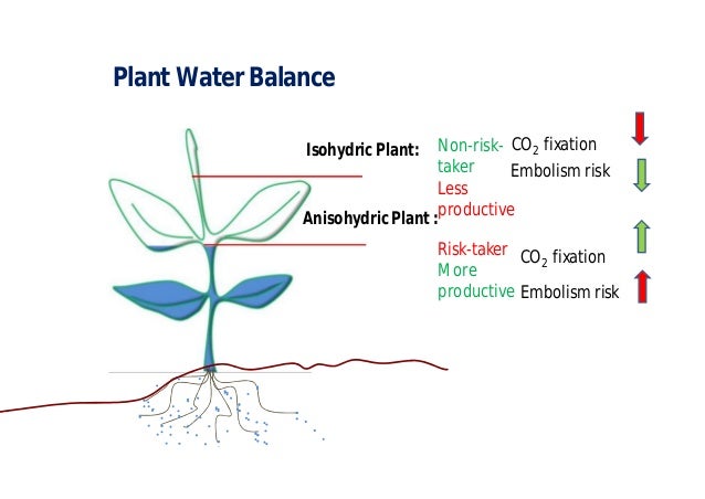 Climate resilient crop cultivars in the view point of physiology and