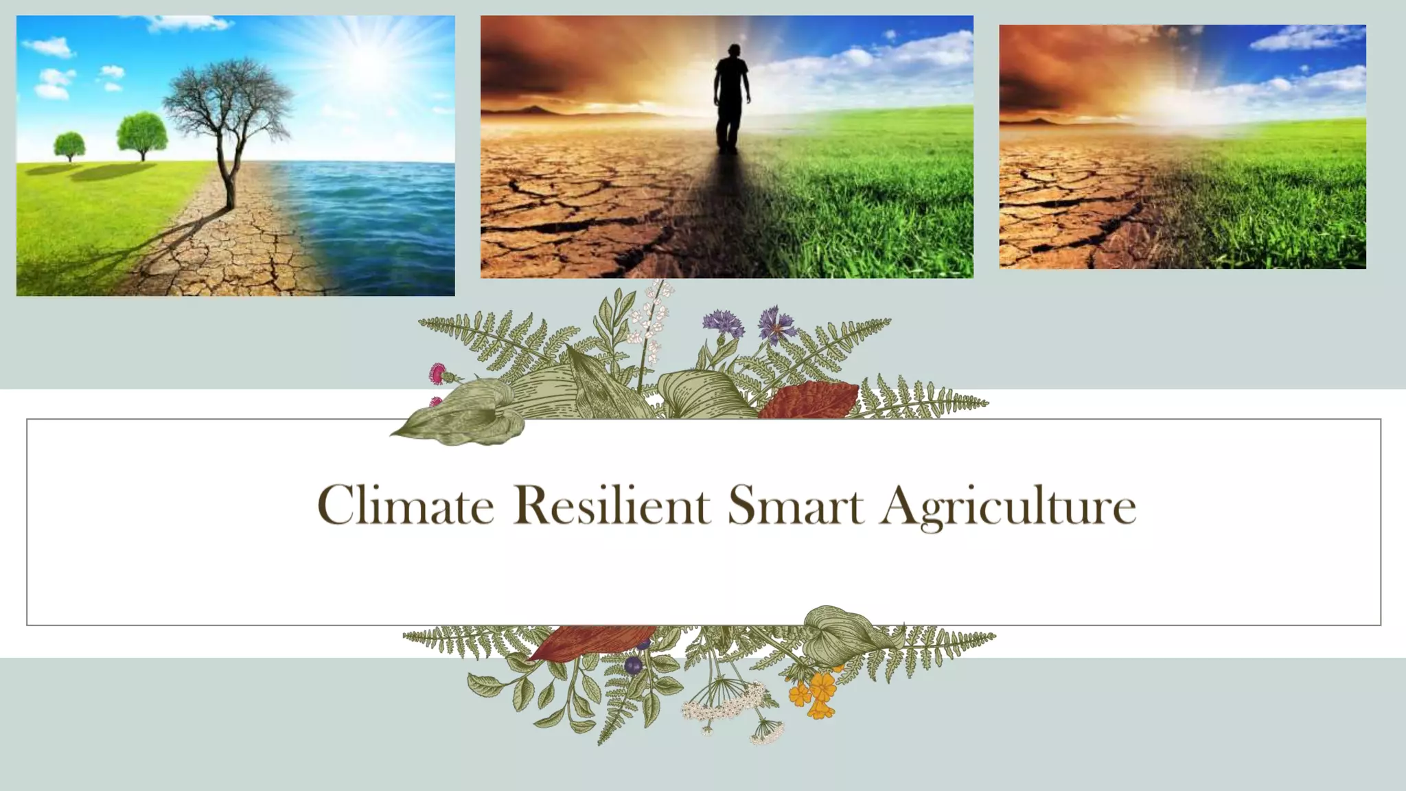 CLIMATE RESILIENT SMART AGRICULTURE THROUGH ADAPTATION AND MITIGATION.pptx