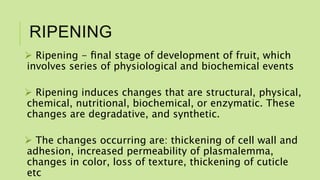 Climacteric and Non-Climacteric Fruits | PPTX