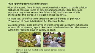 Climacteric and Non-Climacteric Fruits | PPTX