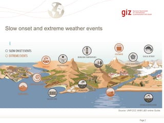 Climate risk management | PDF