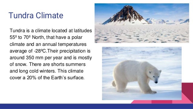 What Is The Average Rainfall For A Tundra Climate Sciencing