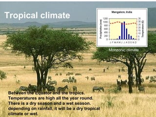 Climates of the world | PPT