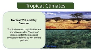 Climates and Climate Change | PPTX