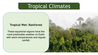 Climates and Climate Change | PPTX