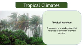 Climates and Climate Change | PPTX