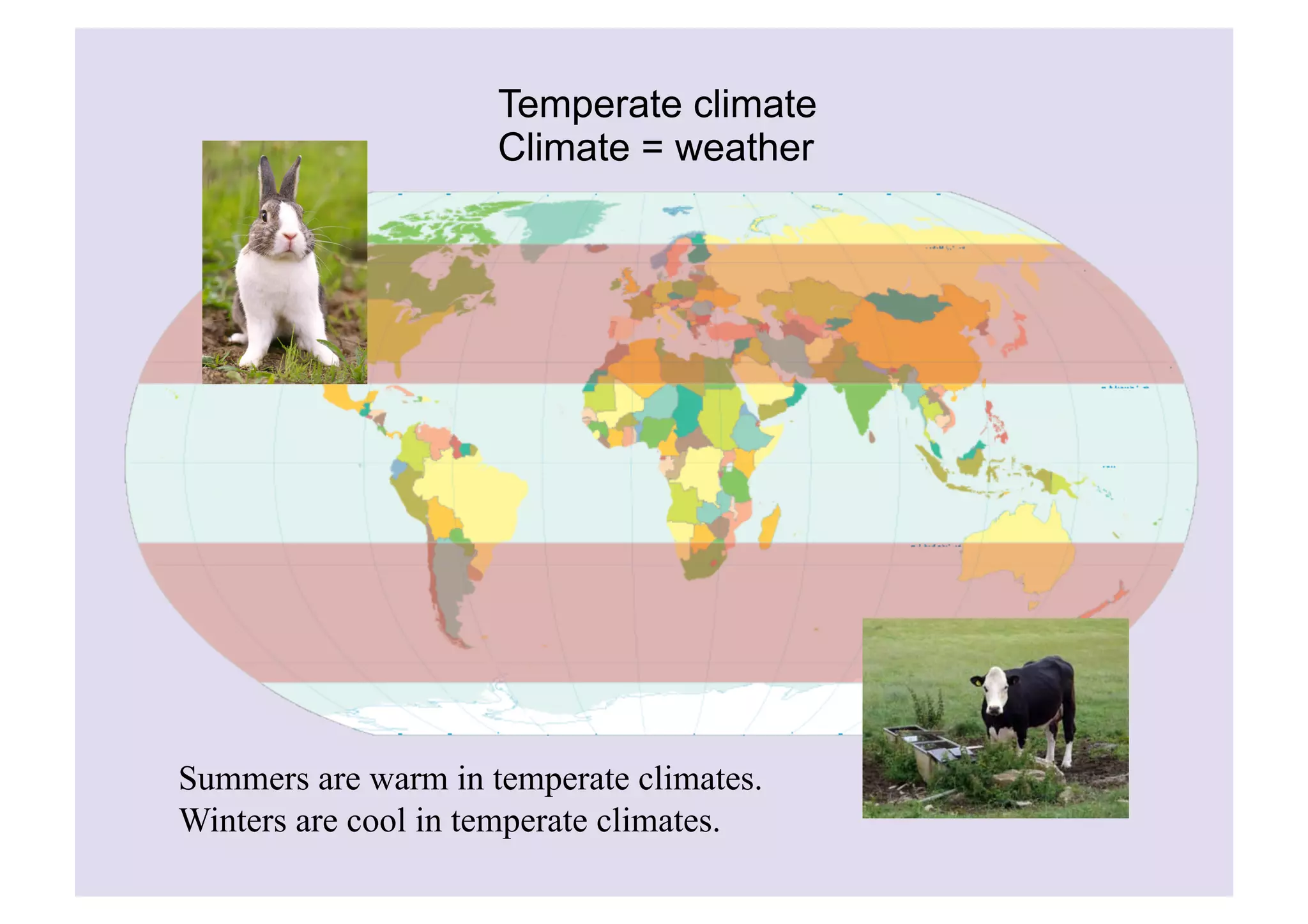Climates and possum writing | PDF | Geography | Science