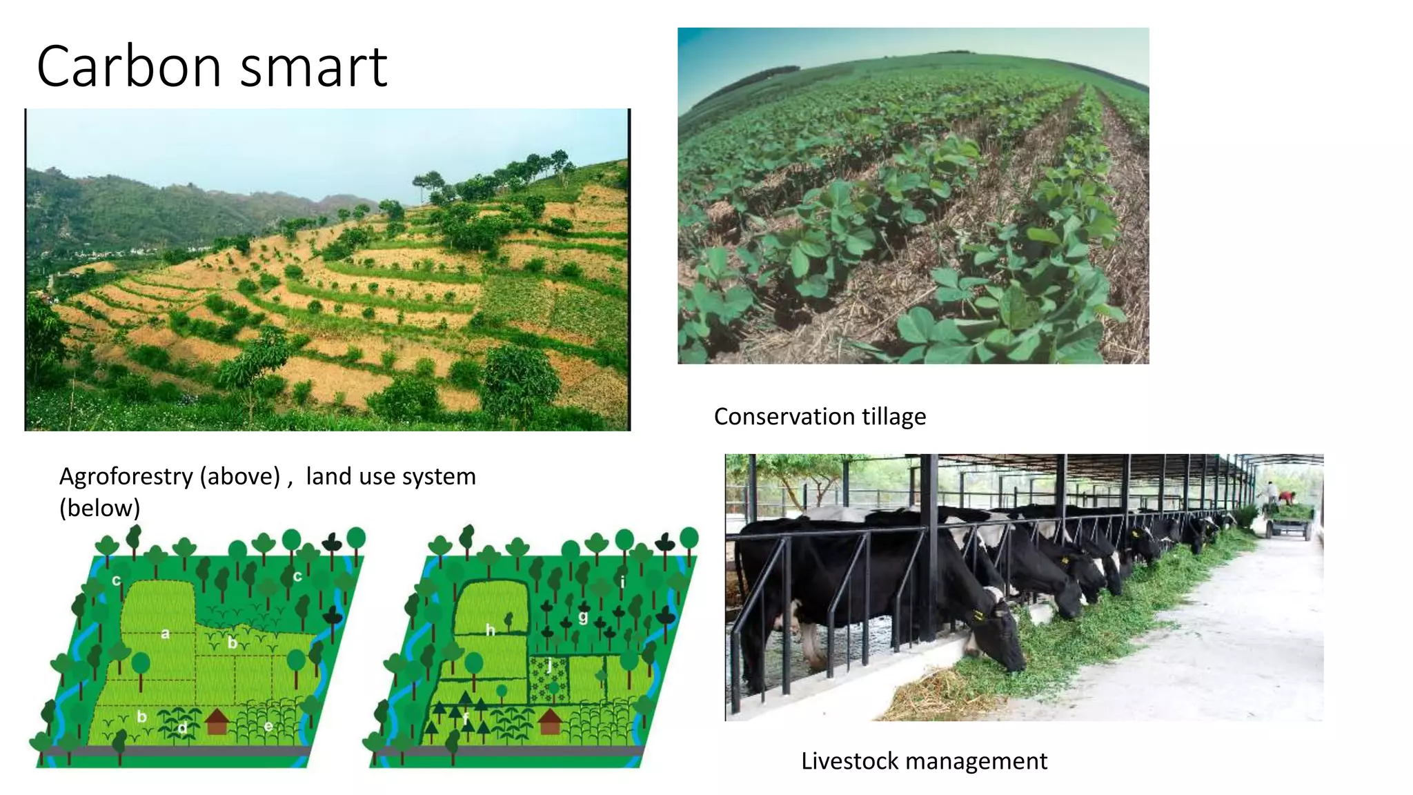 Climate smart agriculture | PPT