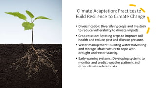 Climate Smart Agriculture and its use 1.pptx
