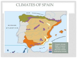 Climate's zones and climates of spain | PPTX | Weather | Science
