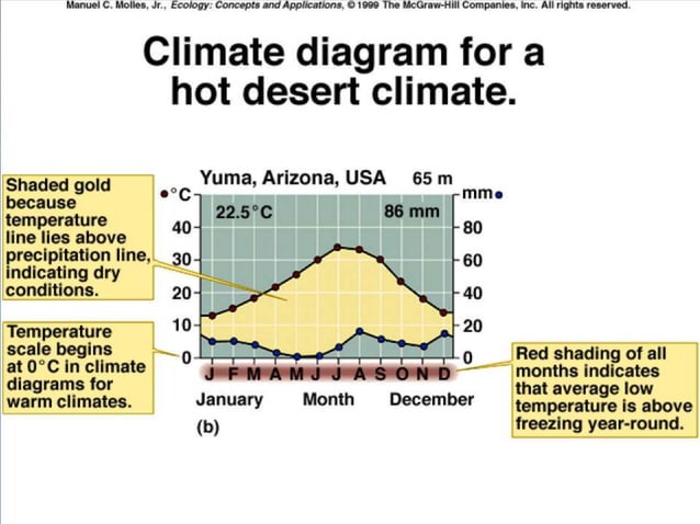 climateweatherphysicalfactors-120516101302-phpapp01.pptx