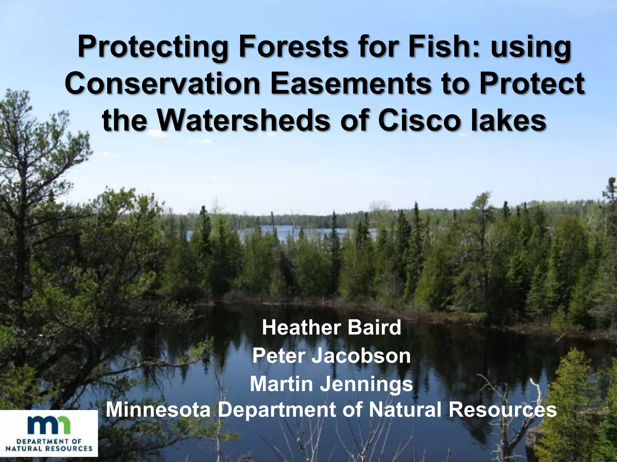 Protecting Forests for Fish: Using Conservation Easements to Protect ...