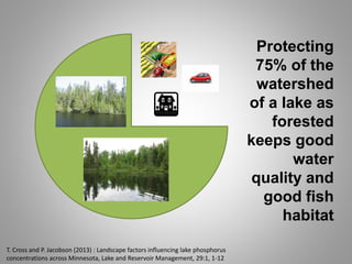 Protecting Forests for Fish: Using Conservation Easements to Protect ...