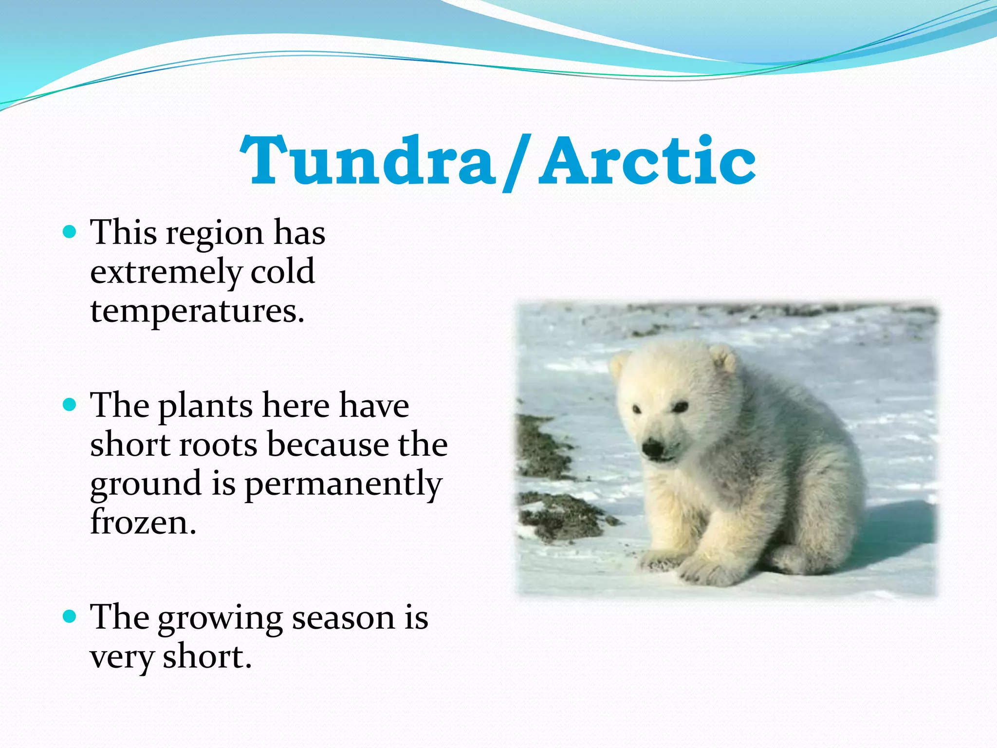Climate zones | PPTX