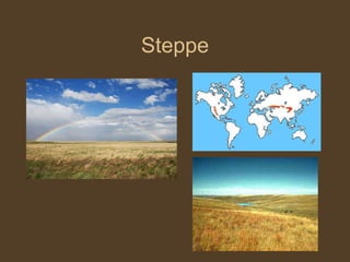 Climate Zones | PPT