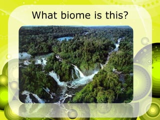 Climate zones and biomes | PPTX