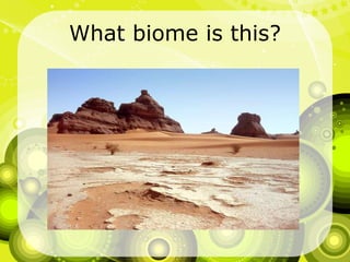 Climate zones and biomes | PPTX