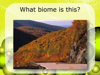 Climate zones and biomes | PPTX