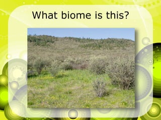 Climate zones and biomes | PPTX