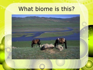 Climate zones and biomes | PPTX