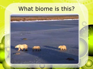 Climate zones and biomes | PPTX