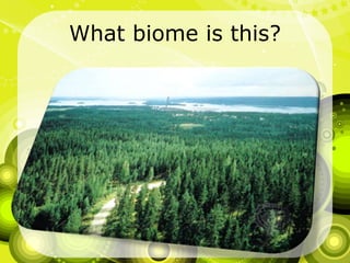 Climate zones and biomes | PPTX
