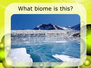 Climate zones and biomes | PPTX